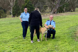 Home | Corrections Victoria