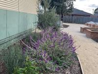 Stories and statements | Corrections Victoria